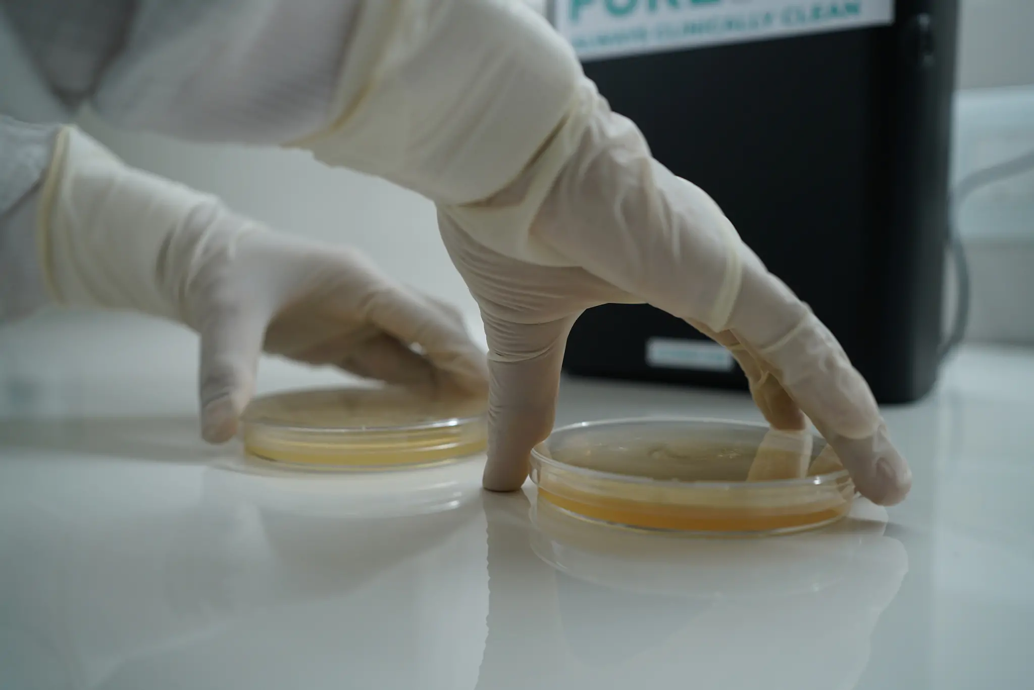 Surface Hygiene Testing Biotech Testing Services
